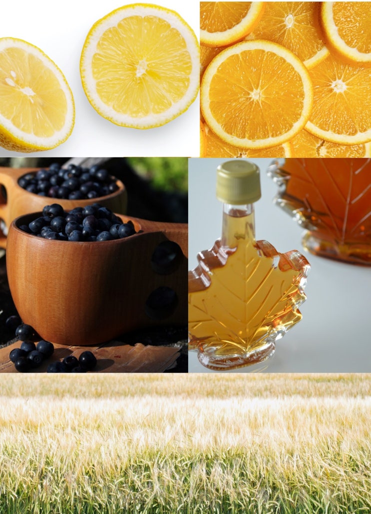 [화장품 성분] ACB Fruit Mix(ACB 과일 믹스, 천연 AHAs 혼합물) : 네이버 블로그