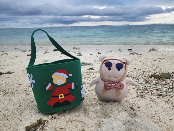 몰디브 여행 말레공항 훌루말레 스타쉘호텔(star shell hotel) : 네이버 블로그