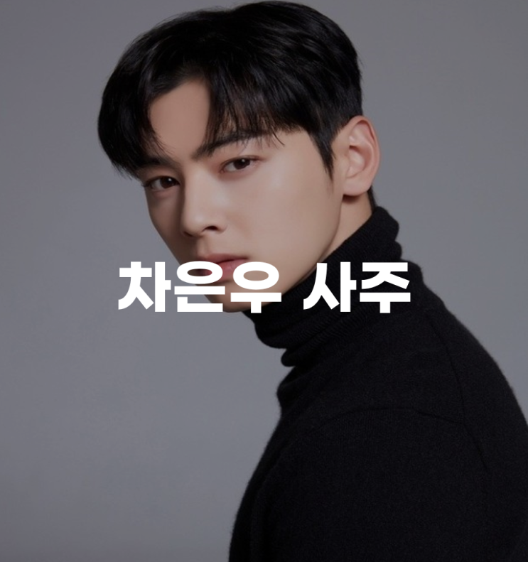 차은우 사주, 보석 신미일주 연애운은? : 네이버 블로그