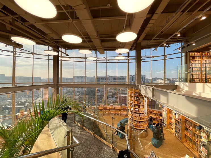 강서구 가볼만한곳 전망좋은 대형서점 YES24 강서NC점 자이언트 슬라이드 탑승정보 : 네이버 블로그