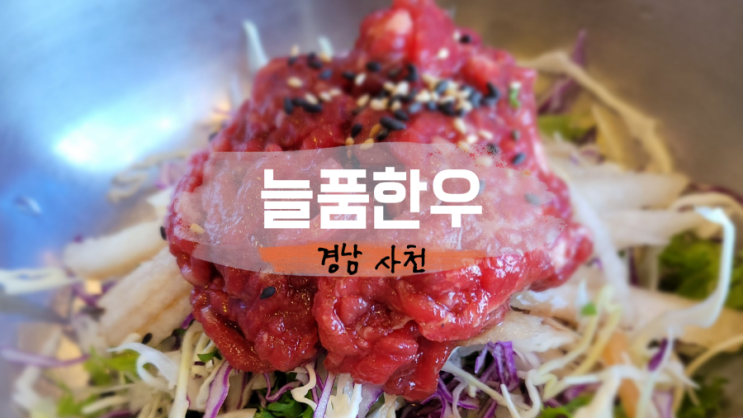 사천 늘품한우 경남 사천 소고기 전문점 늘품한우에서 점심 육회비빔밥 먹고 온 후기 네이버 블로그
