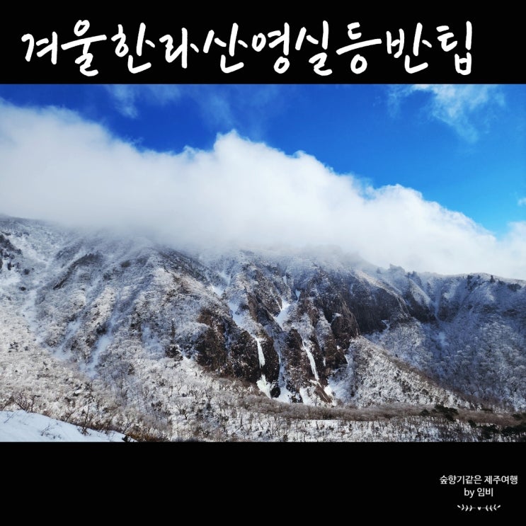 겨울 한라산 등반코스 윗세오름 등반 팁 영실코스 주차장 버스시간표 정리 네이버 블로그
