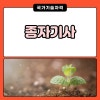 종자기사 자격증 시험 일정과 합격률 취업과 연봉은 보너스 네이버 블로그