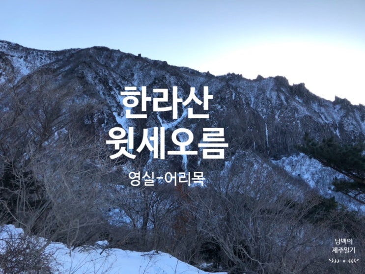 한라산 겨울 윗세오름 등반 영실 어리목 코스비교 네이버 블로그