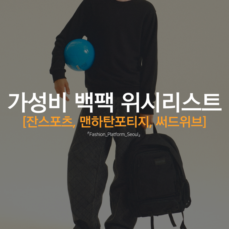 수납공간 좋은 가성비 백팩 위시리스트 잔스포츠 엔보이 블랙 맨하탄포티지 써드위브 네이버 블로그