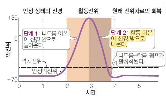 다이어트시에 칼슘의 중요성 바디와이짐인하대헬스인하대헬스장용현동헬스용현동헬스장 네이버 블로그