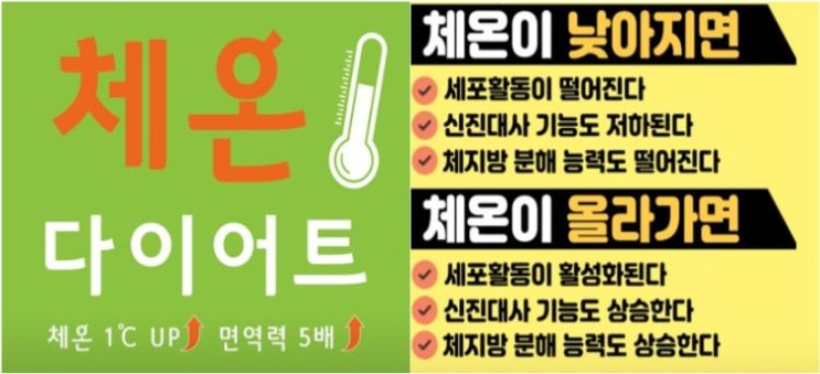 동탄 다이어트 온열 찜질원적외선 집중 치료부종혈액순환세포 운동소한편백건식 반신욕 네이버 블로그