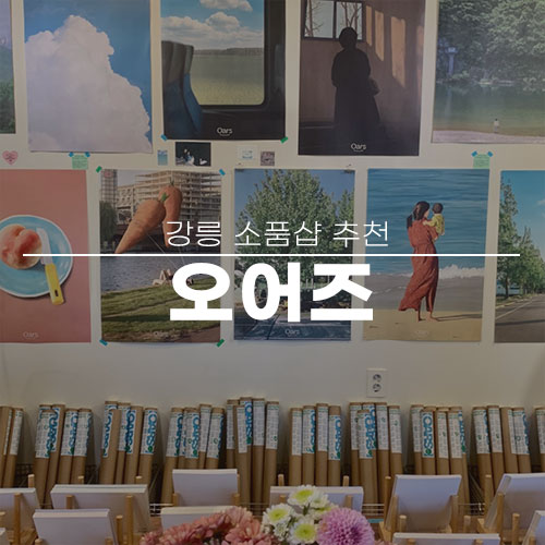 강릉 소품샵 추천 오어즈 로컬 디자인 강릉 기념품 감성 굿즈 한가득 네이버 블로그