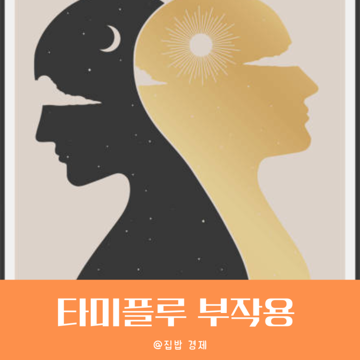 A형 독감 약 타미플루 부작용과 주의사항 그리고 효능 및 복용시간 처방과 가격 완전 정복 네이버 블로그