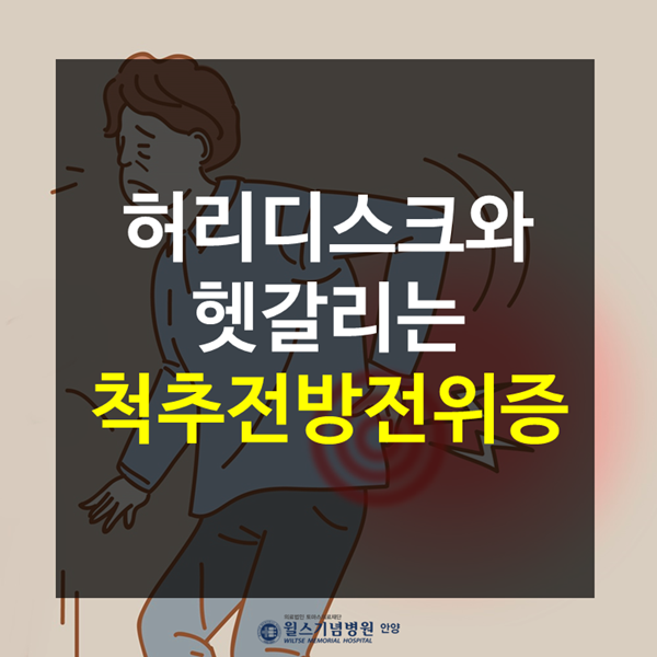 안양척추전문병원 허리디스크와 헷갈리는 척추전방전위증│안양윌스기념병원 네이버 블로그