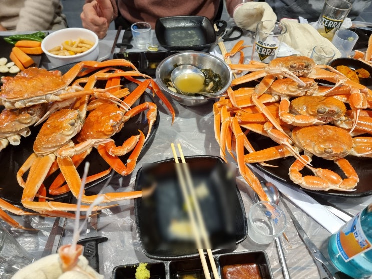 울산 무거동 등대집가성비 꽤 좋은 울산대학교 앞 대게집 그리고 먹어본 과메기 중 가장 맛있음 네이버 블로그