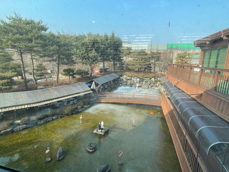 대전 동구 맛집 대별동 별천지 동충하초 한방 오리백숙 먹고왔어요 새해 몸보신 하기 좋은 곳 삼계탕 갈비탕 맛집