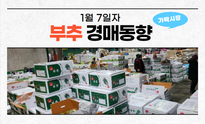 경매사 일일보고 1월 7일자 가락시장 부추 경매동향을 살펴보겠습니다 네이버 블로그