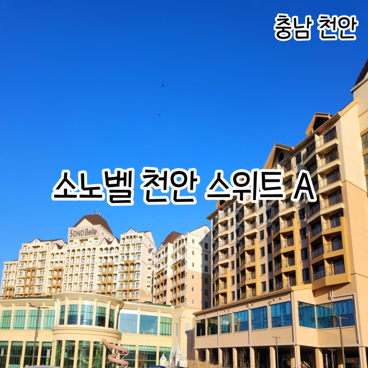 아이들과 대명리조트 소노벨 천안 West 웨스트 스위트 A에서의 2박 3일 네이버 블로그