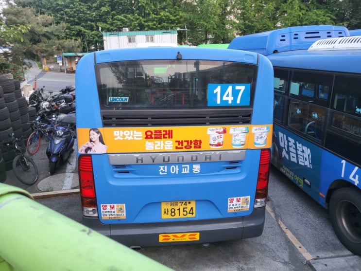 진아교통147번(8154호)(10년식) : 네이버 블로그