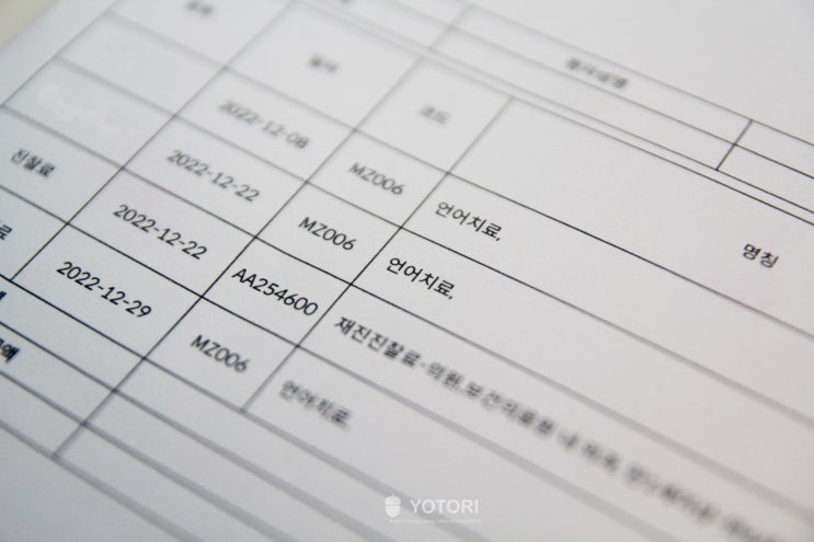 30개월 언어발달검사 언어지연 판정 후 언어치료 실비가 있어 다행이야 네이버 블로그