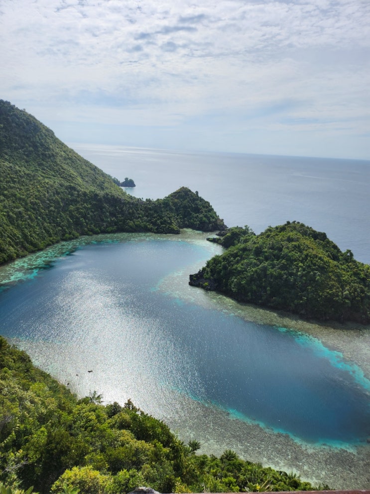 라자암팟 프리다이빙 리브어보드 Day3 : Lagoon Love (Misool) : 네이버 블로그