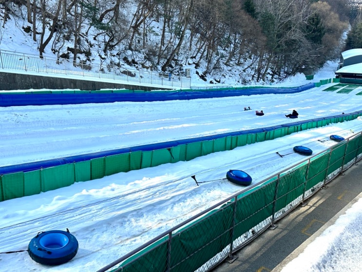 겨울 경기도 용인 에버랜드 눈썰매장 스노우버스터 익스프레스 가격 대기시간 정보와 후기 네이버 블로그