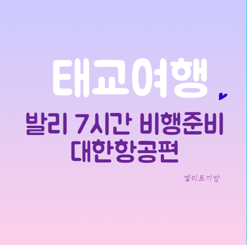 태교여행 파워 J 의 발리 태교여행 7시간 비행준비 대한항공임산부좌석지정특별기내식패스트트랙코트룸서비스임신 23주차