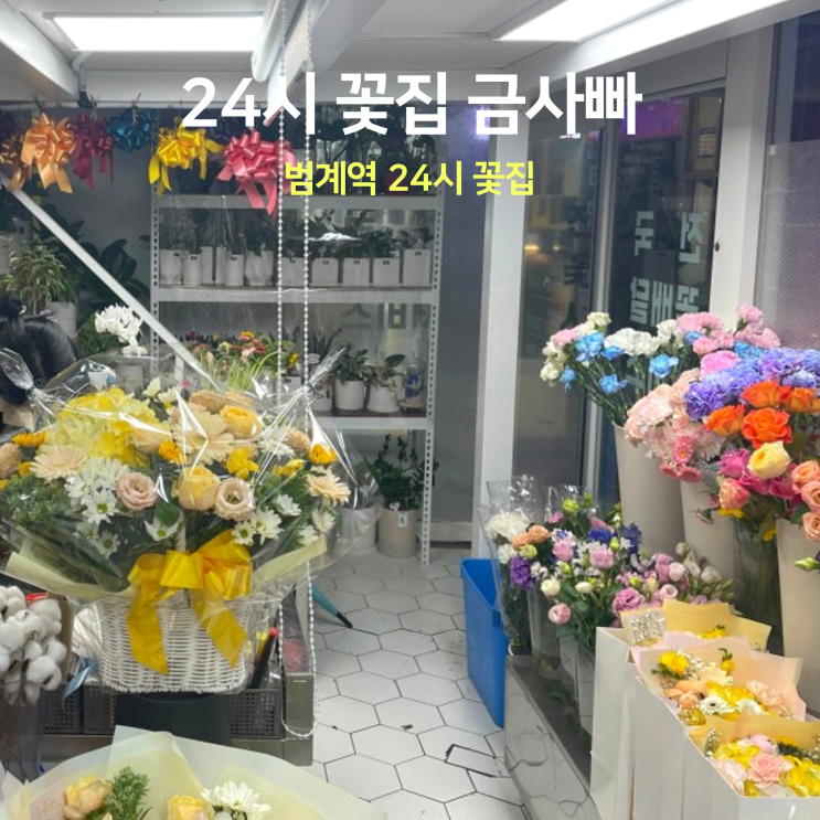 안양 범계역 범계 평촌 꽃집 연말 데이트 기념일 생일 꽃선물 무인 판매기 24시 꽃집 금사빠 네이버 블로그