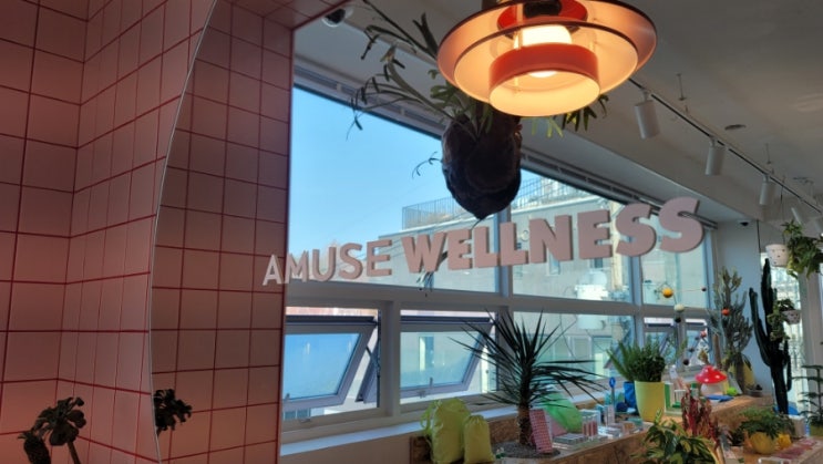 어뮤즈 촉촉한쿠션 지속력좋은틴트 향좋은핸드크림 WELLNESS 한남쇼룸 : 네이버 블로그