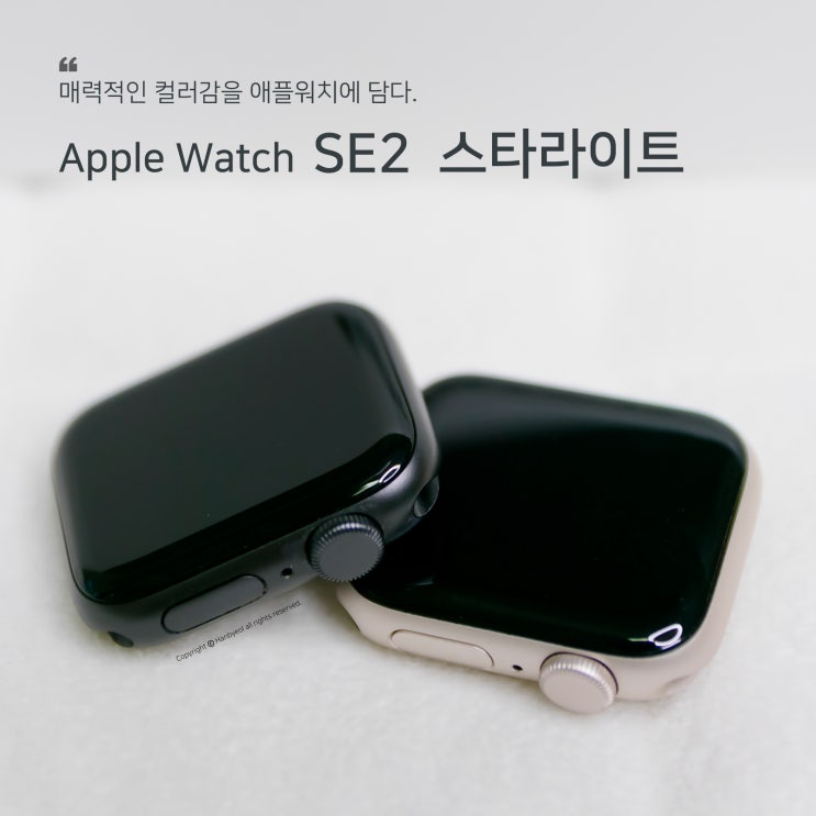 애플워치 se2 스타라이트 40mm 색상 정보 정리! : 네이버 블로그