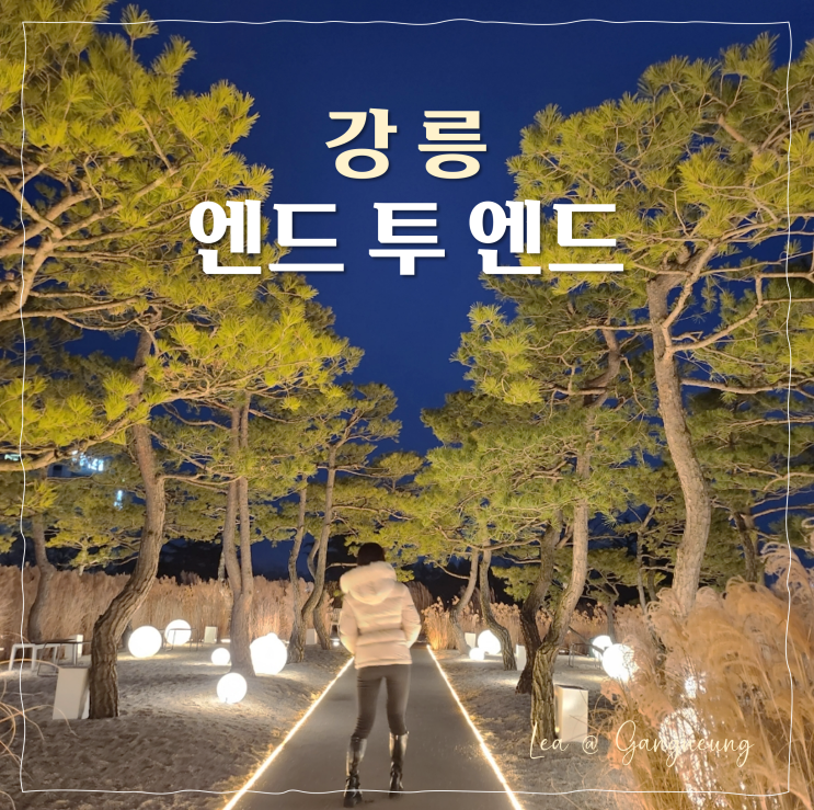 강릉 카페 엔드투앤드 네이버 평점 50 포토스팟 뭐가 다를까 네이버 블로그