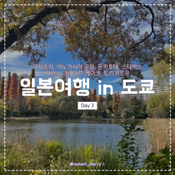 일본여행 In 도쿄 3박 4일 Day3 돈키호테기치조지이노가시라공원하브스시부야토리키조쿠 네이버 블로그