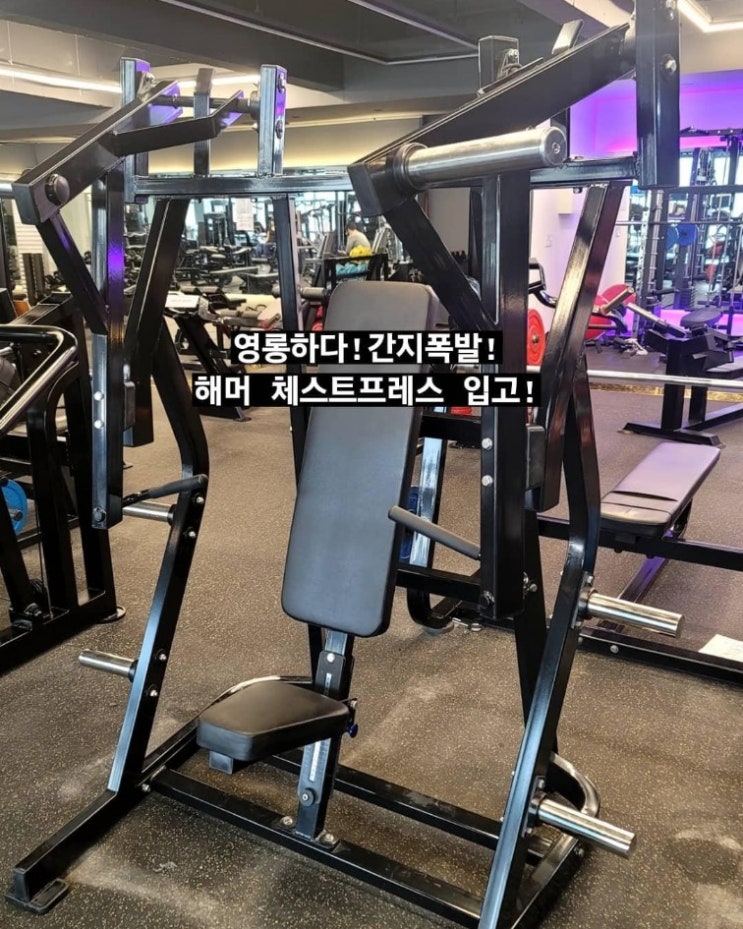 상대원헬스장 금광동헬스장 베스트짐 해머 체스트프레스 신상 입고잘 먹습니다 네이버 블로그