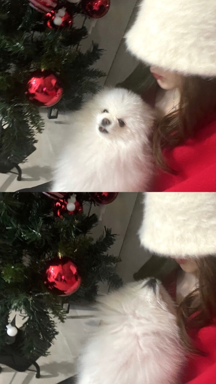 221215 - 230108 : 네이버 블로그