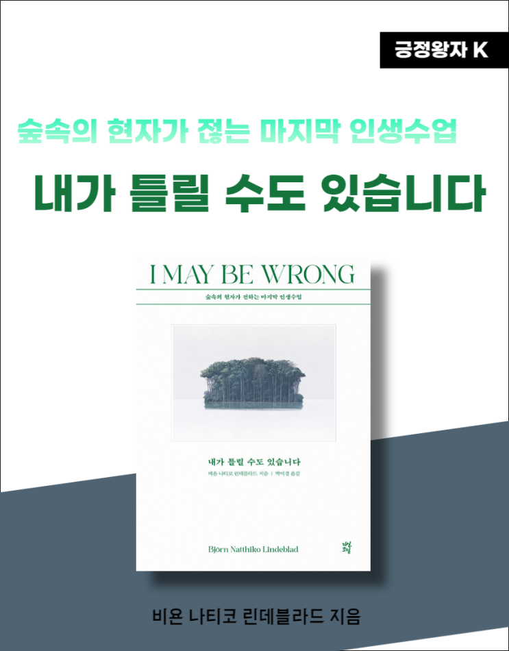 내가 틀릴 수도 있습니다 ㅣ비욘나티코ㅣ에세이추천 : 네이버 블로그