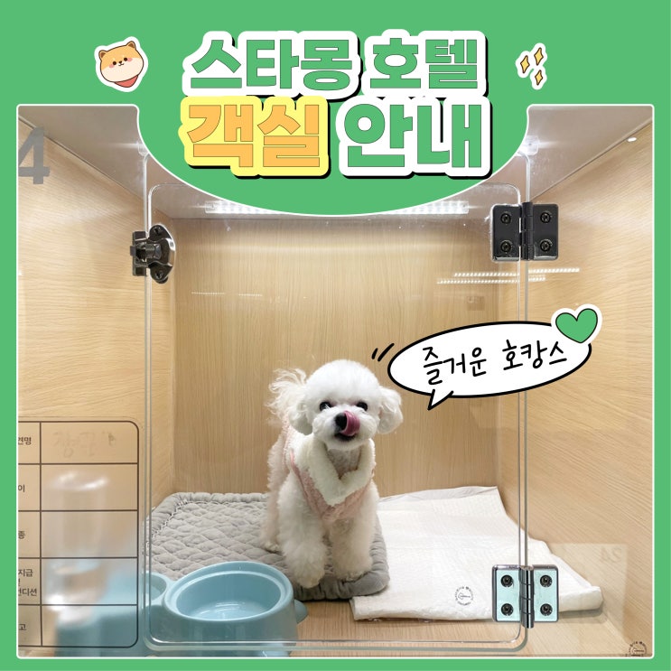 강남강아지호텔 스타몽 객실 타입 안내 네이버 블로그