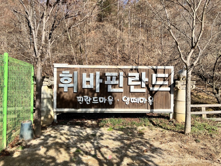 홍천 휘바핀란드가족과 함께 가기좋은 귀여운 양과 알파카목장왕추천♬ 네이버 블로그
