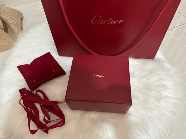 까르띠에 탱크 머스트 SolaBeat 솔라비트 스몰 사이즈 후기! : 네이버 블로그