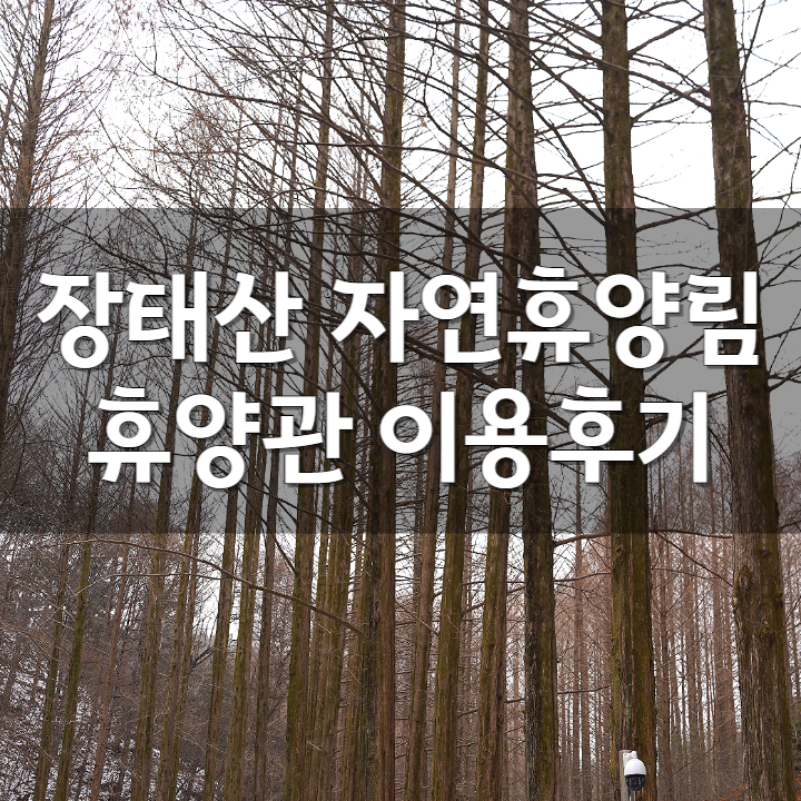 충남 장태산자연휴양림의 겨울 휴양관 한라산 숙소 이용후기 및 숙박시설 예약 꿀팁 네이버 블로그