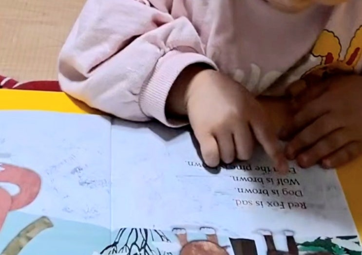 집에서 아이랑 44개월 아이 영어책읽기 책육아 팁 네이버 블로그