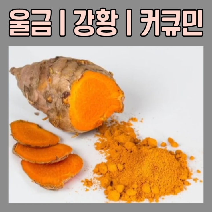 울금 강황 차이 ️커큐민 효능ㅣ부작용ㅣ카레 커큐민ㅣ테라큐민 네이버 블로그