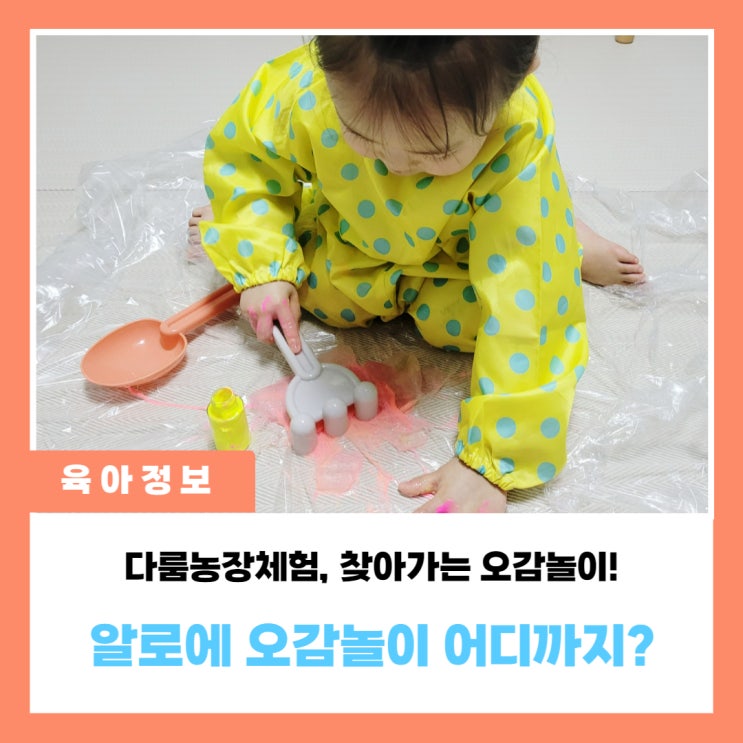 다룸 농장체험 어린이집 알로에 오감놀이 농촌체험까지 가능한 곳 네이버 블로그