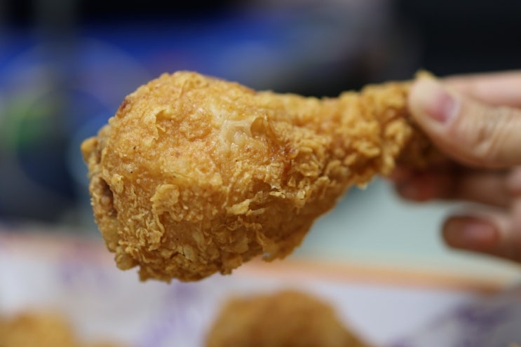 동탄호수공원 맛집 담백한 베이직프라이드치킨 : 네이버 블로그