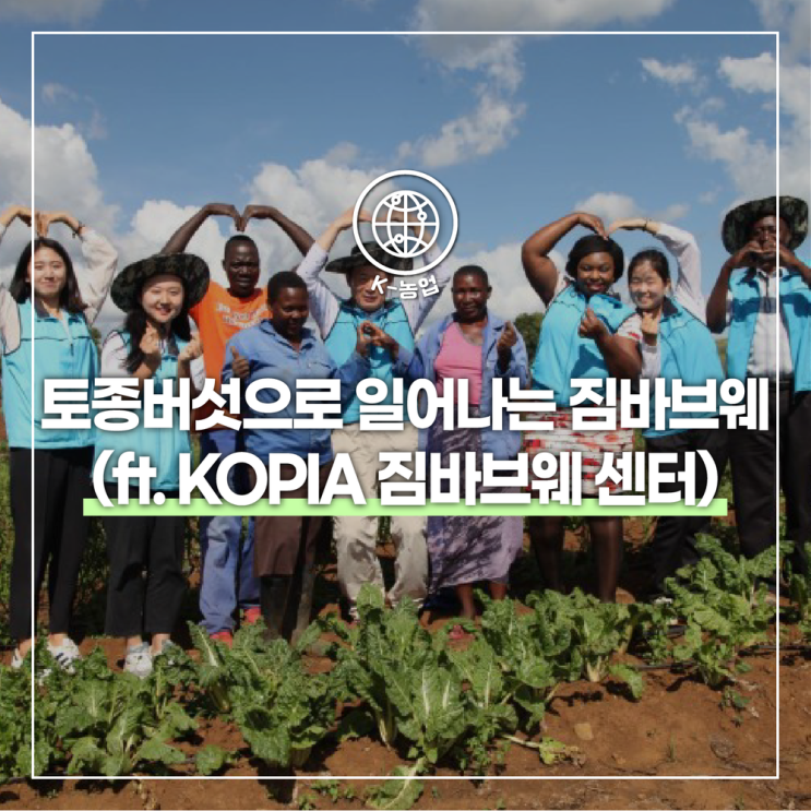 토종버섯으로 다시 일어나는 짐바브웨(ft. KOPIA 짐바브웨 센터) : 네이버 블로그