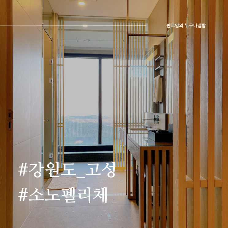강원도고성 소노펠리체 델피노 골드스위트 이스트동east 취사 숙소 객실6세 9세 아이와 가볼만한곳 네이버 블로그