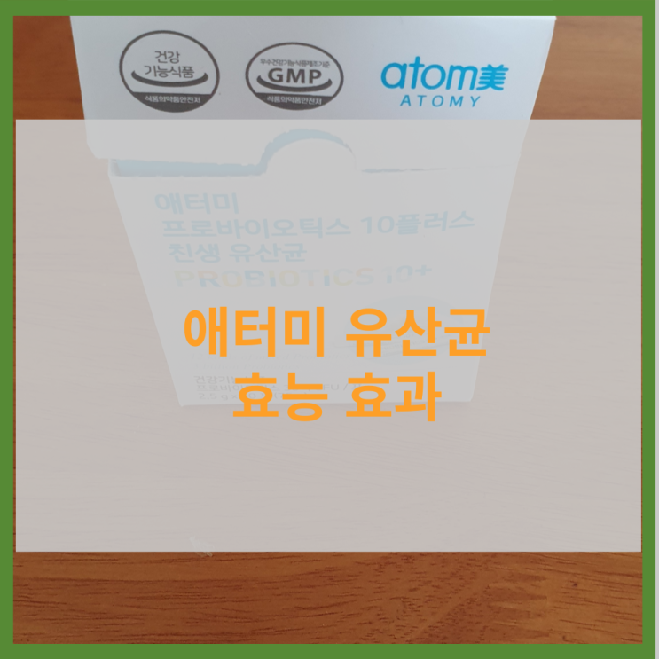 애터미 유산균 친생 유산균 프로바이오틱스 10플러스 효능 효과 네이버 블로그