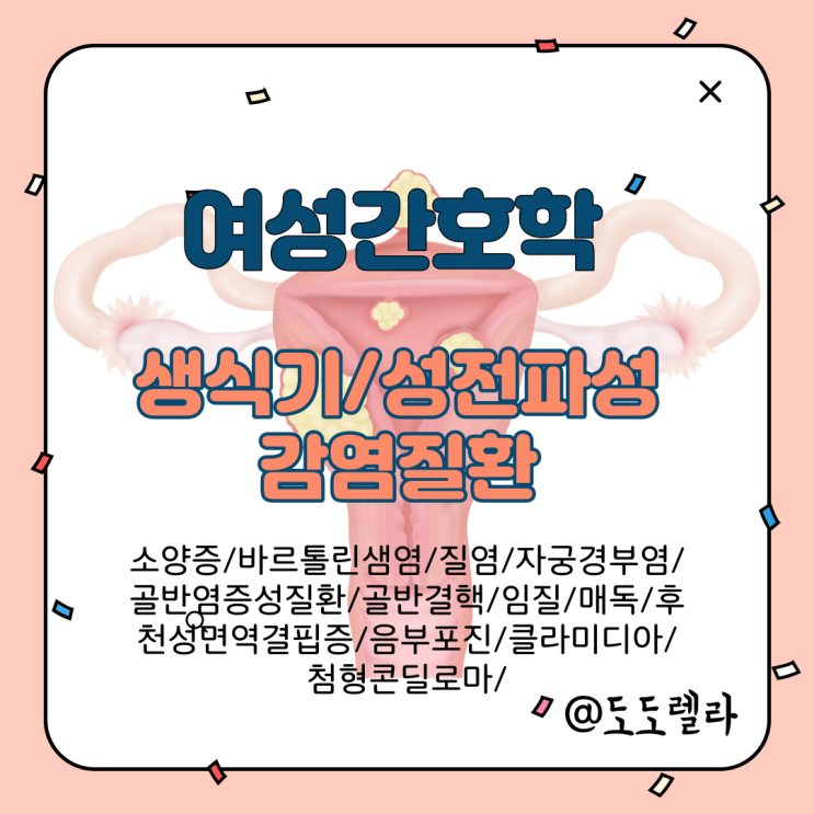 생식기 성전파성 감염질환 소양증바르톨린샘염질염자궁경부염골반염증성질환골반결핵임질매독후천성면역결핍증음부포진