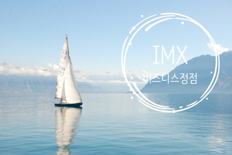 비즈니스의 정점. IMX:필요한모든컨설팅을 도와드립니다. : 네이버 블로그