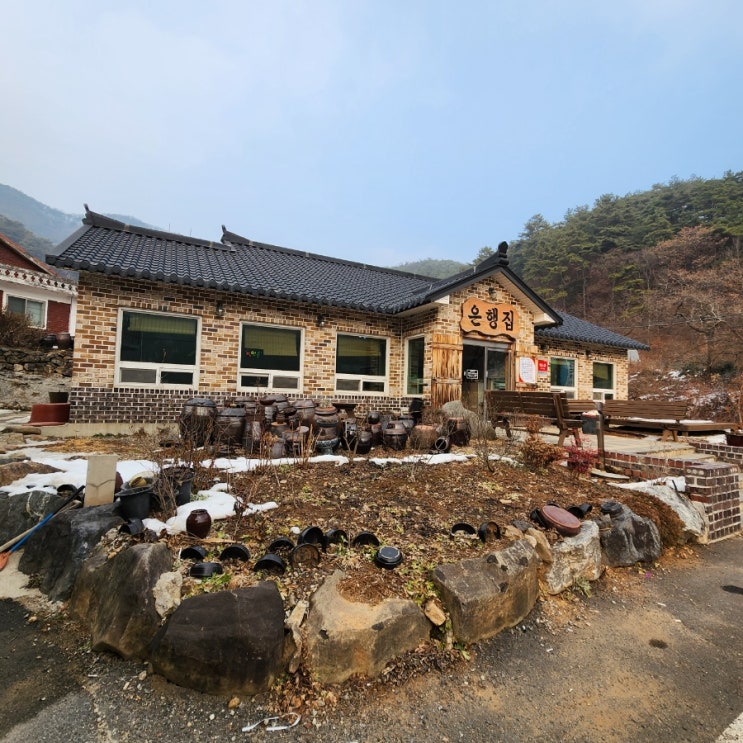 은행집 청양 알프스마을 맛집 칠갑산 얼음분수축제 맛집 네이버 블로그
