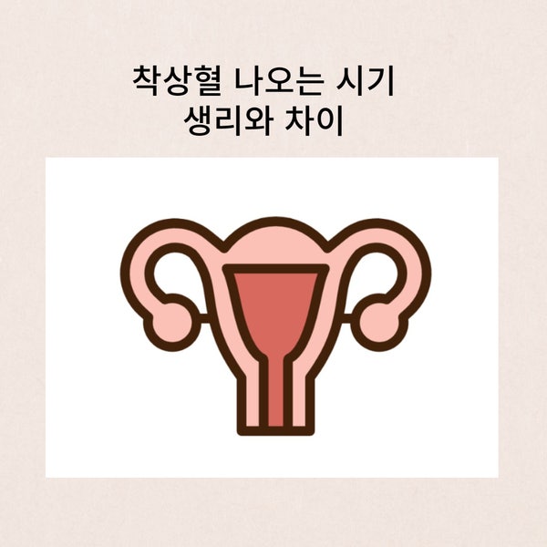 임신 착상혈 나오는 시기와 생리차이 착상혈 색 양 임테기 언제 네이버 블로그