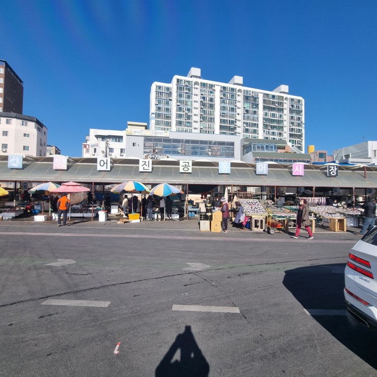 울산 방어진공동어시장 민어 조기 빨간고기 설날 명절 준비 생선 구매했어요! : 네이버 블로그