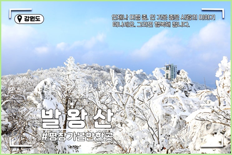 용평리조트 발왕산 케이블카 가격 할인 발왕산 스카이워크 여행 평창 용평 가볼만한곳 평창 여행 네이버 블로그