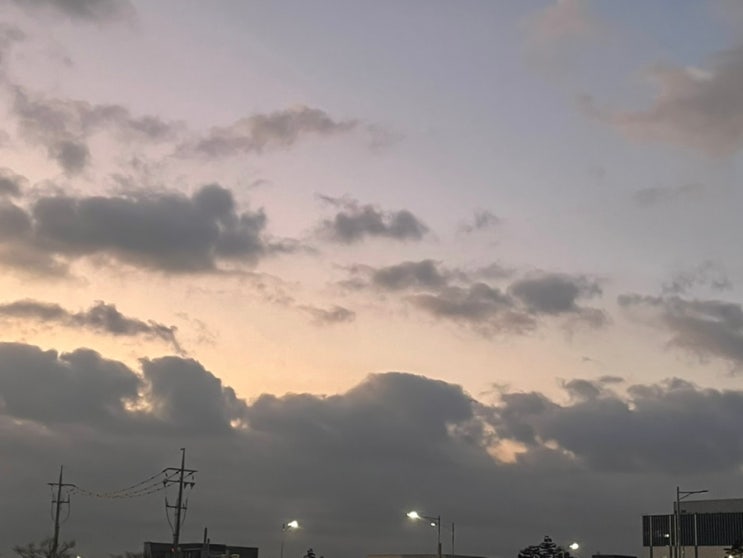 2023년 01월 : 네이버 블로그