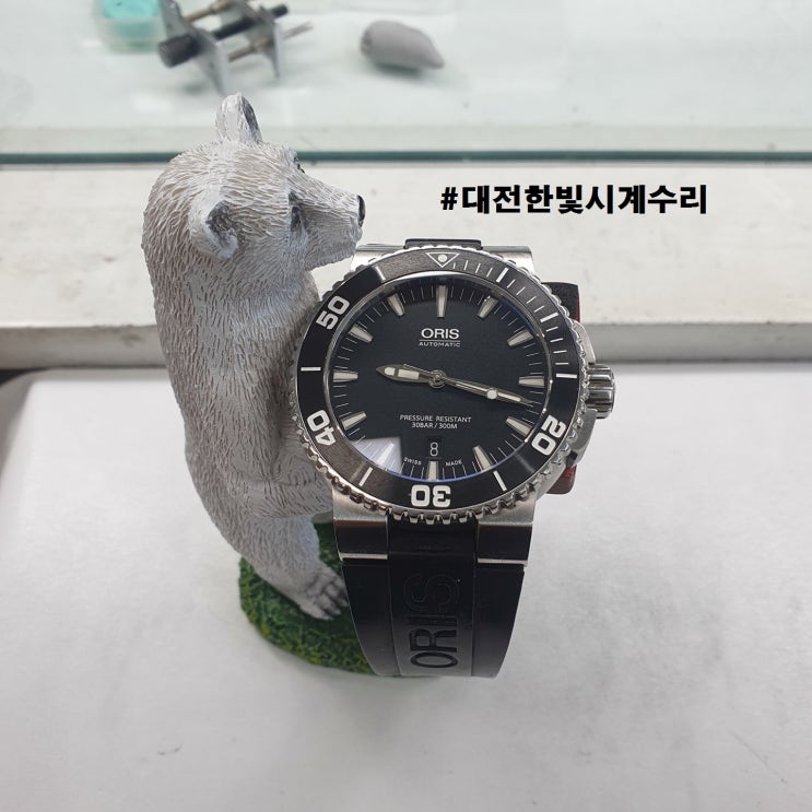 대전 오리스 Oris 다이버 워치 시계수리 네이버 블로그